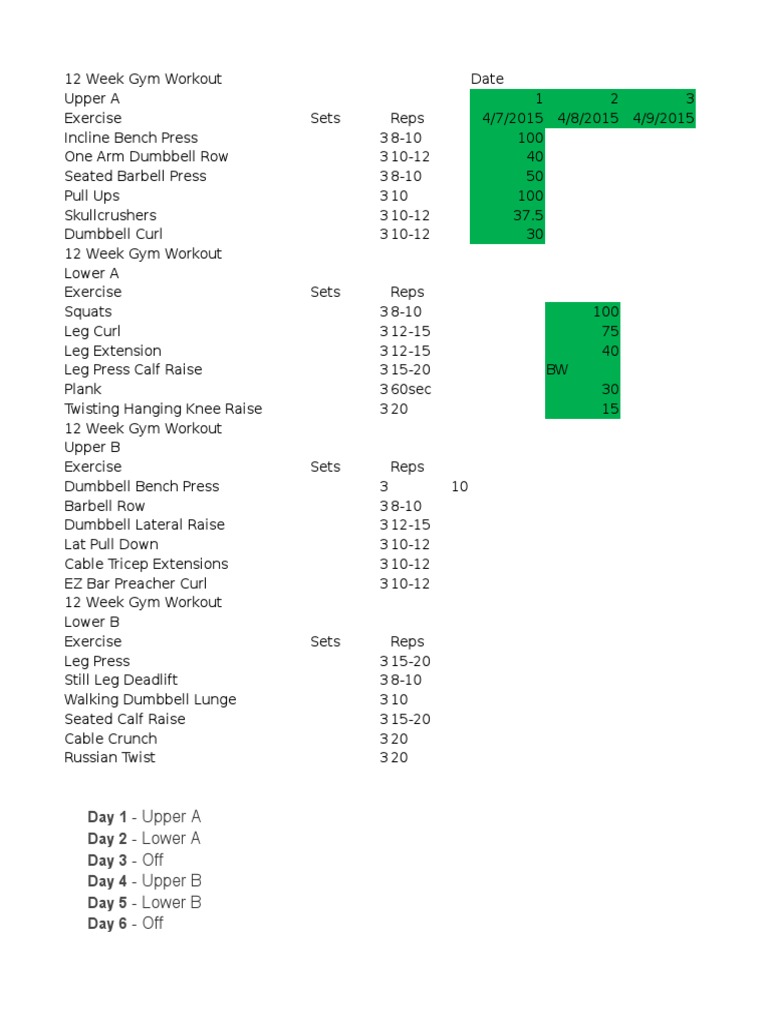 12-Week Gym Workout Plan | PDF