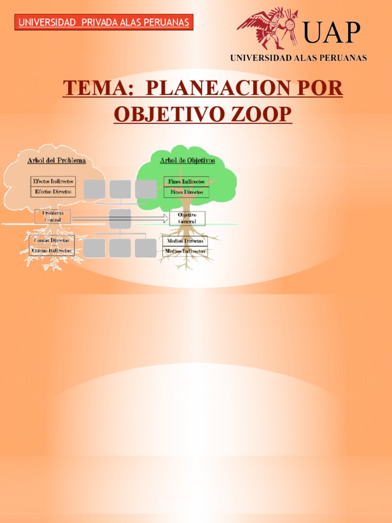 Diapos de Metodo Zopp | PDF | Planificación | Toma de decisiones