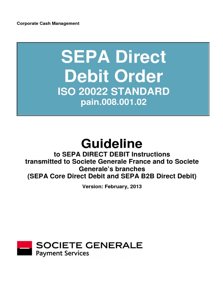 TECH - LEAFLET Guideline SG ISO20022 SEPA Direct Debit Branches PDF ...