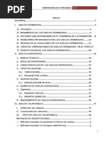 Correlación SPT-CBR | PDF