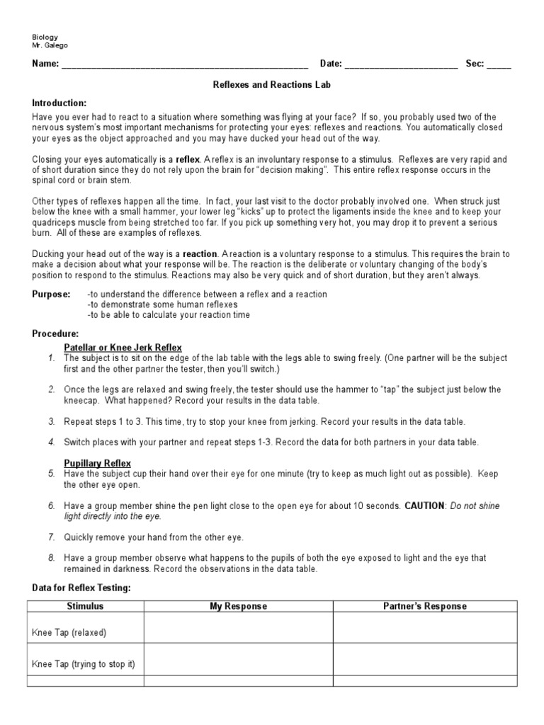 Reflexes and Reactions Lab Guide | PDF | Brain | Nervous System