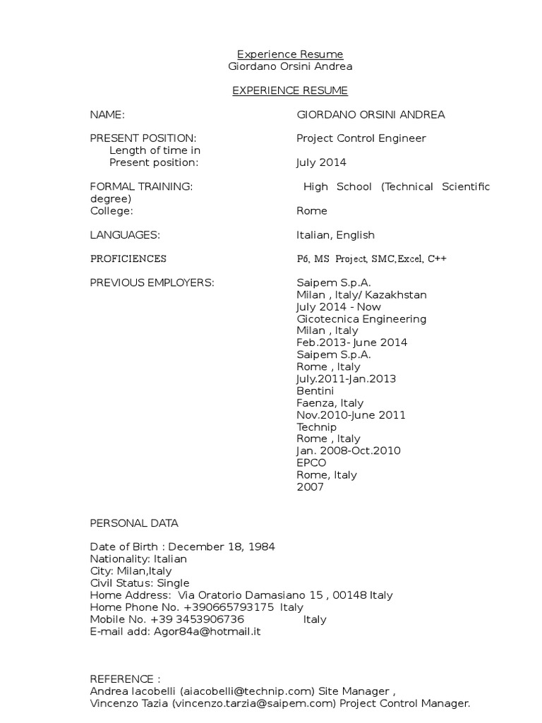 Andrea Giordano Orsini CV Rev | PDF | Industries | Business