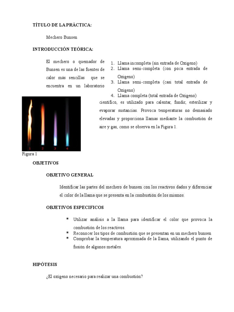 Partes y Llamas del Mechero Bunsen | PDF | Ciencias fisicas ...