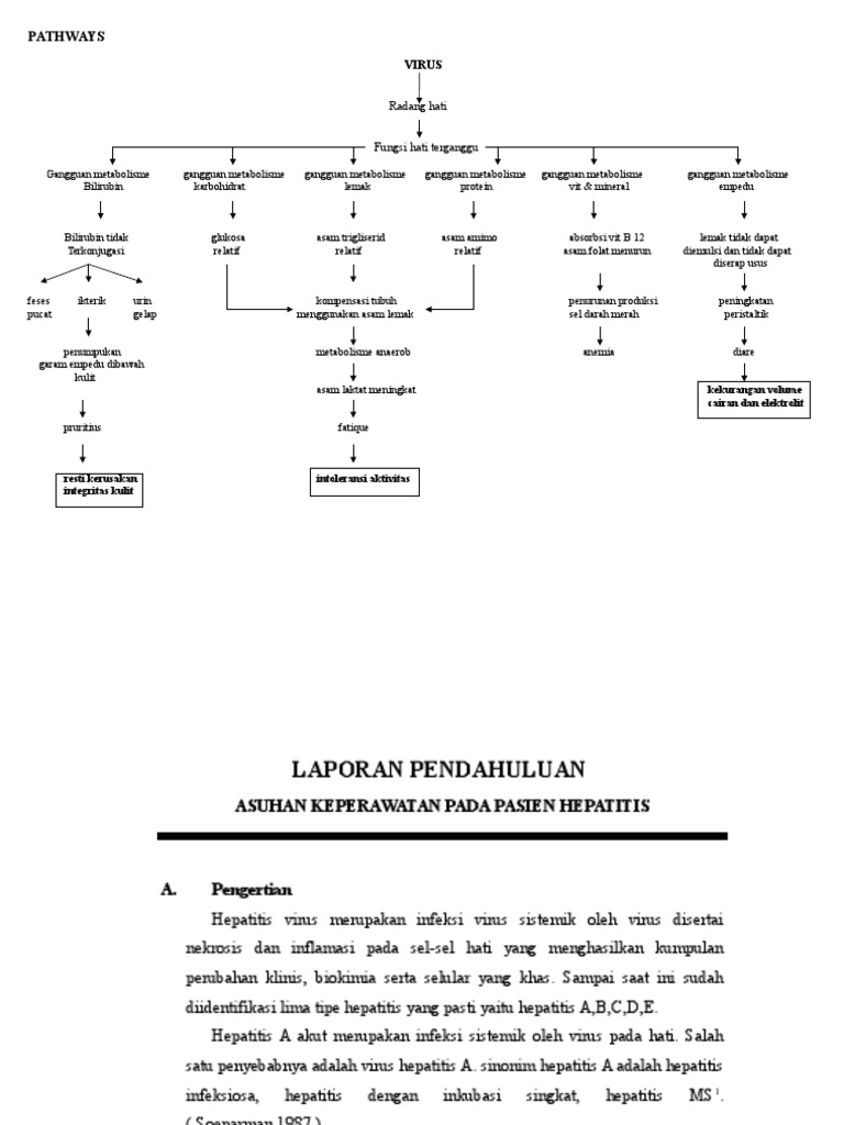 Pathway Hepatitis