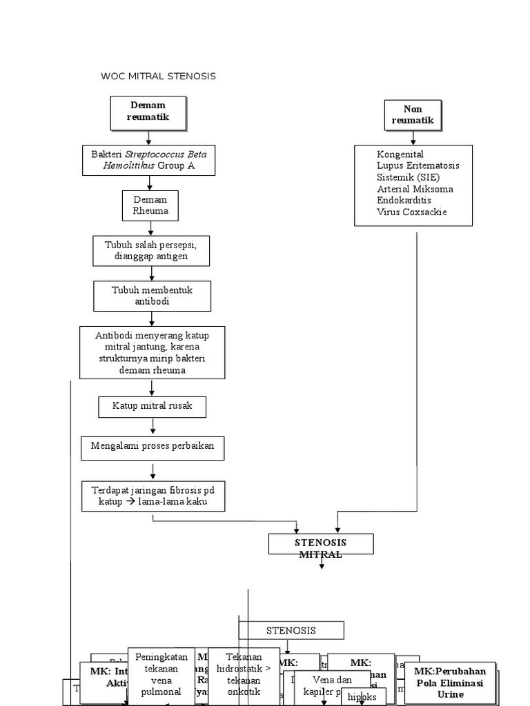 Woc Mitral Stenosis | PDF