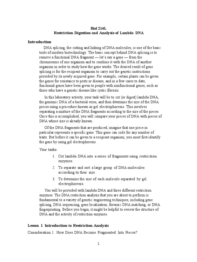Restriction Enzyme Protocol | PDF | Gel Electrophoresis | Restriction ...