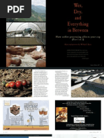 ROASTING - Profile Log-SV | PDF | Coffee