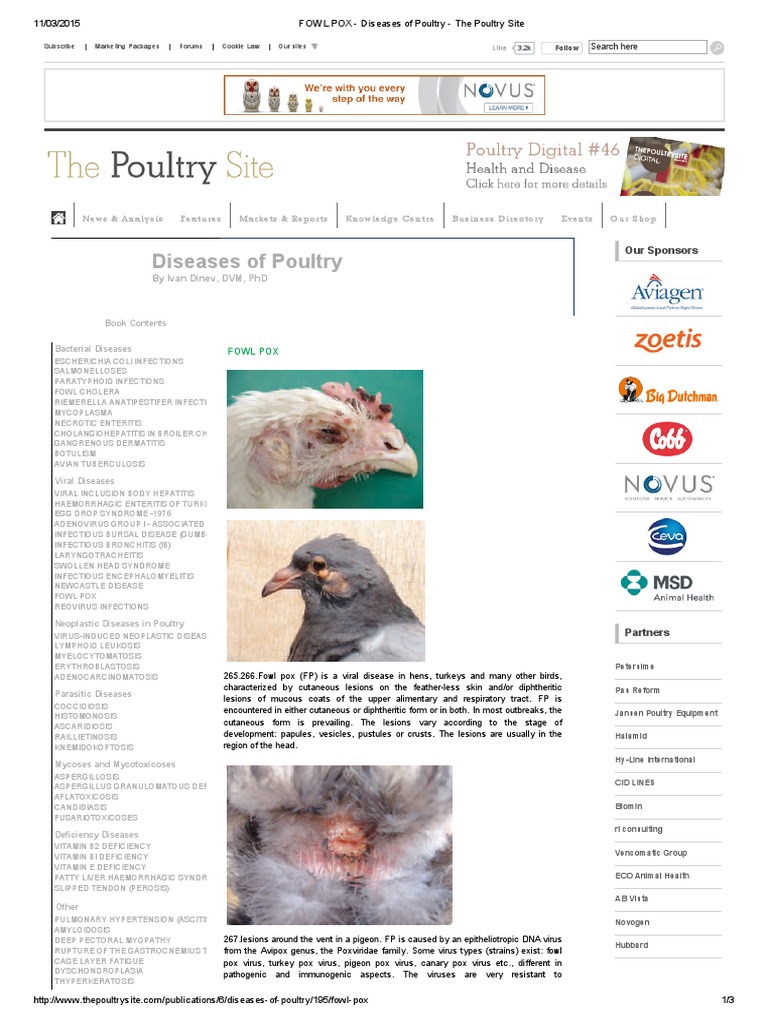 FOWL POX - Diseases of Poultry - The Poultry Site | Poultry | Avian ...