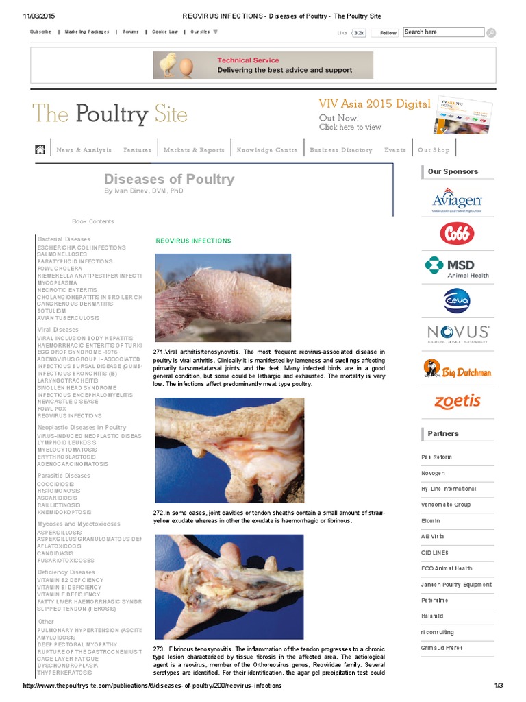 Causes, Symptoms - Diseases of Poultry - The Poultry Site | PDF ...