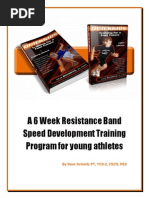 Power Lifting Matrix | PDF | Weight Training | Strength Training