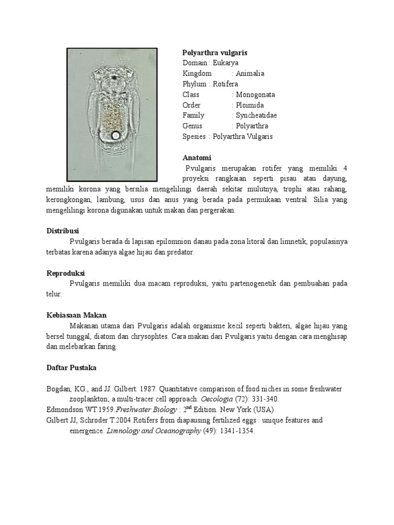 (ATLANTIK) Polyarthra Vulgaris | PDF