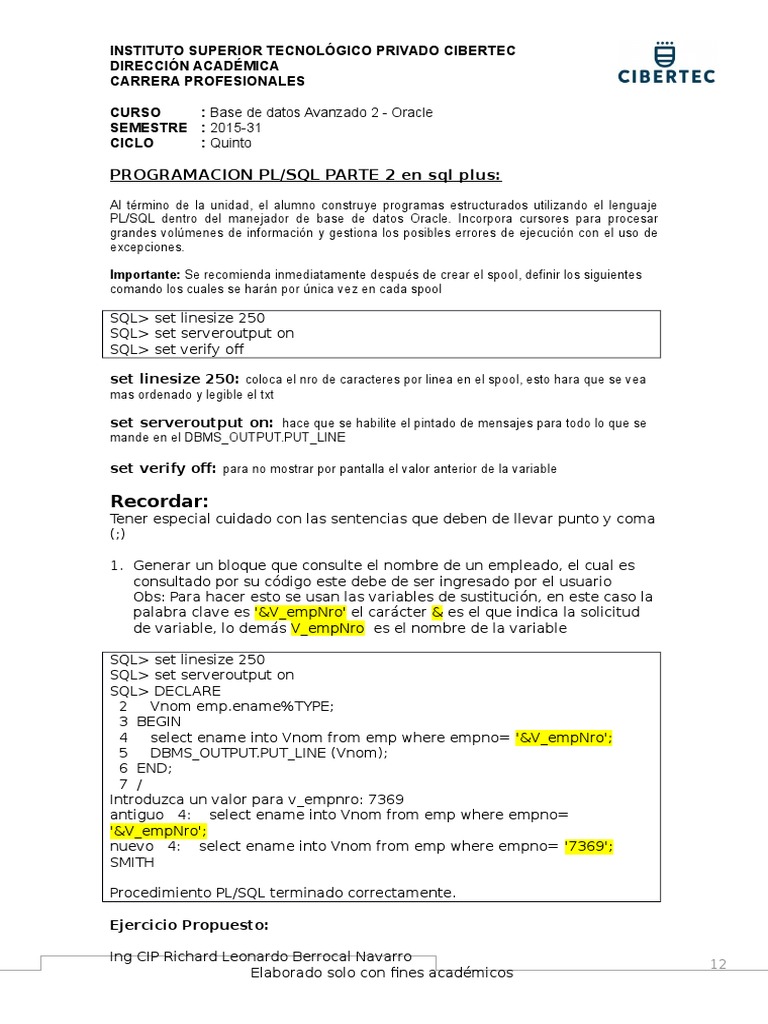 Bloque PL-SQL Ejercicios Desarrollados P2 | PDF | Datos | Gestión de tecnología de la información