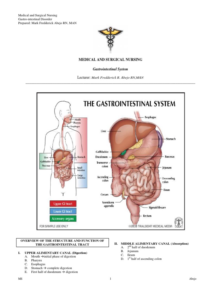 Gastrointestinal Nursing | PDF | Peptic Ulcer | Gastrointestinal Tract