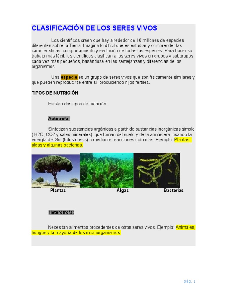 Clasificación de los Seres Vivos y Nutrición | PDF | Plantas | Organismos