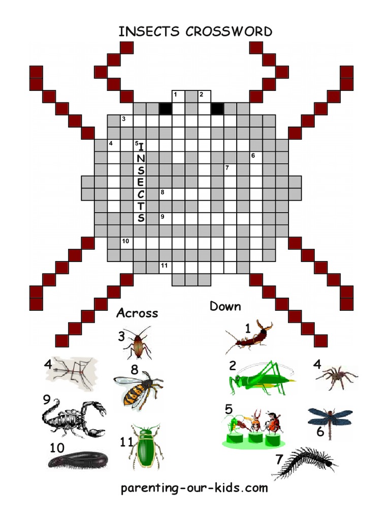 Insects Crosswords For Kids | PDF