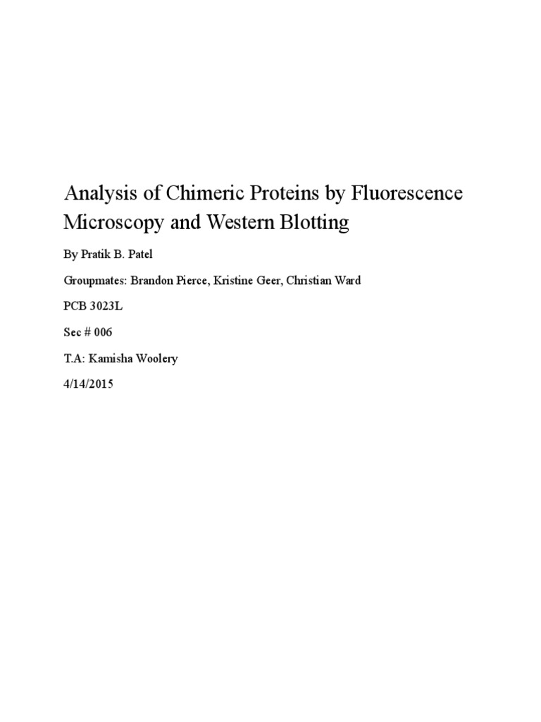 Analysis of Chimeric Proteins by Fluorescence Microscopy and Western ...