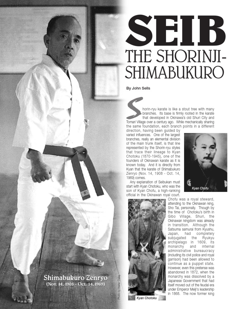 Seibukan Shorin Ryu | Traditional Sports | Karate