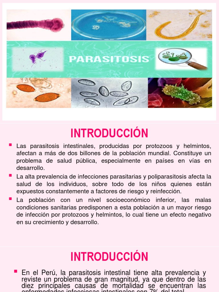 Parasitosis Intestinal - Usat | PDF | Enfermedades y trastornos ...