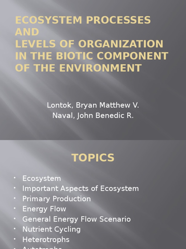 Ecosystem Processes AND Levels of Organization in The Biotic Component ...