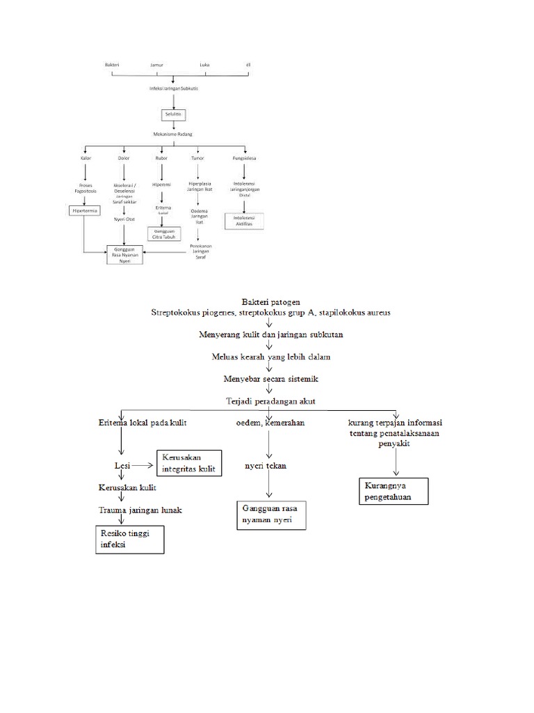 Askep Selulitis | PDF