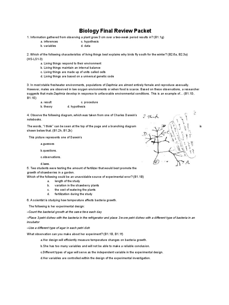 Biology Review Packet | PDF | Dominance (Genetics) | Zygosity