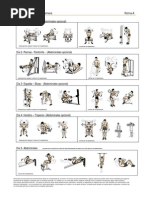 Rutina PPL X Arnold | PDF | Entrenamiento de fuerza | Aficiones