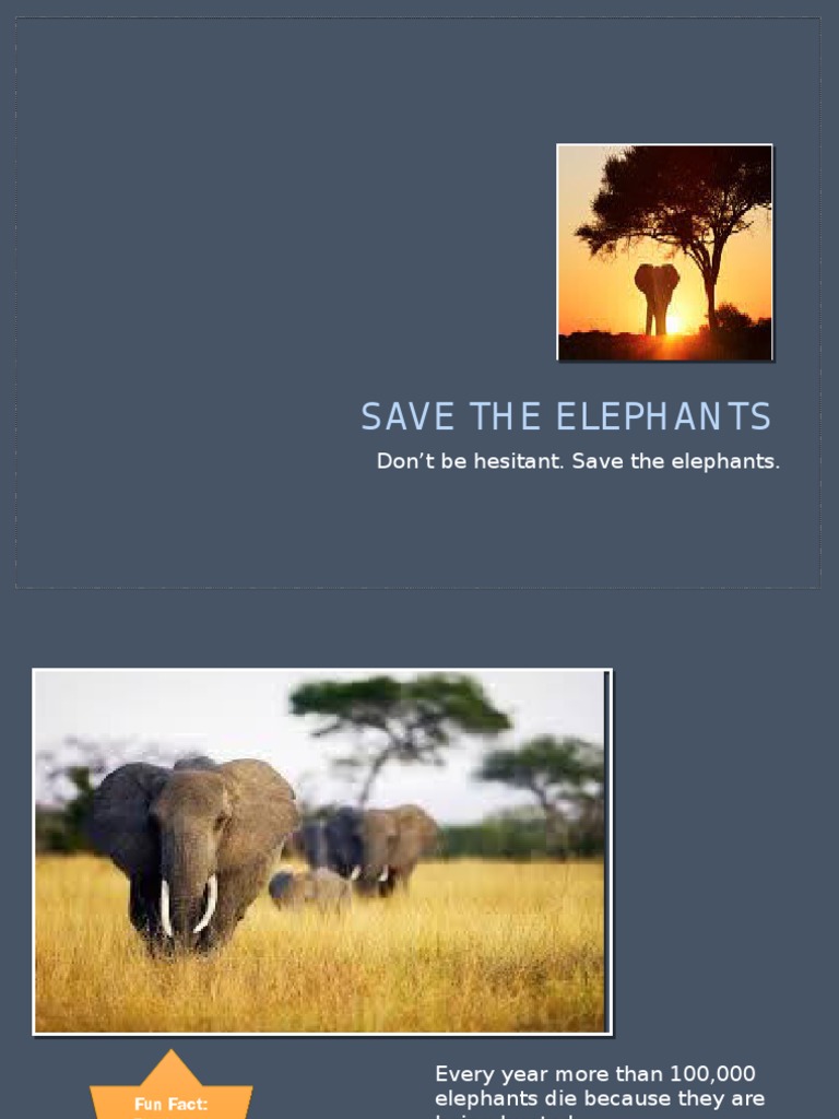 Savetheelephants | PDF | Social Science | General Fiction