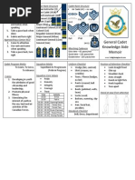 AAFC Badges of Rank | PDF
