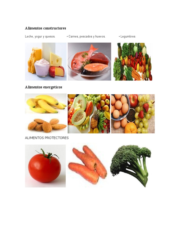 Alimentos Constructores | PDF