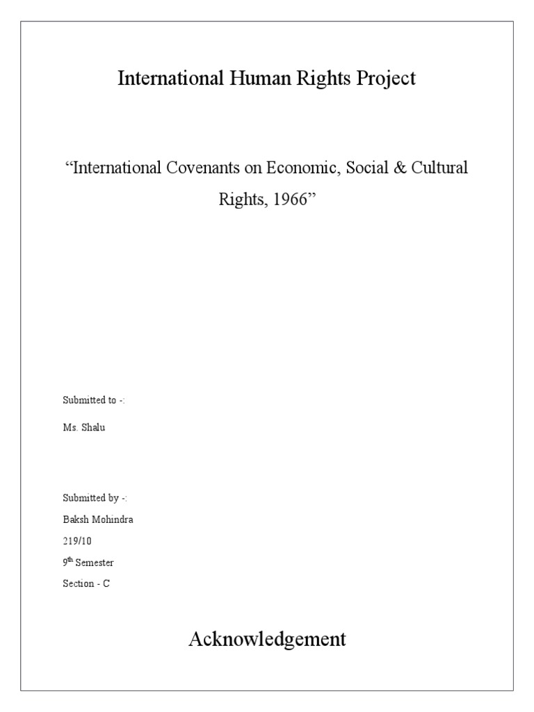 International Human Rights Project | PDF | Human Rights | Egalitarianism