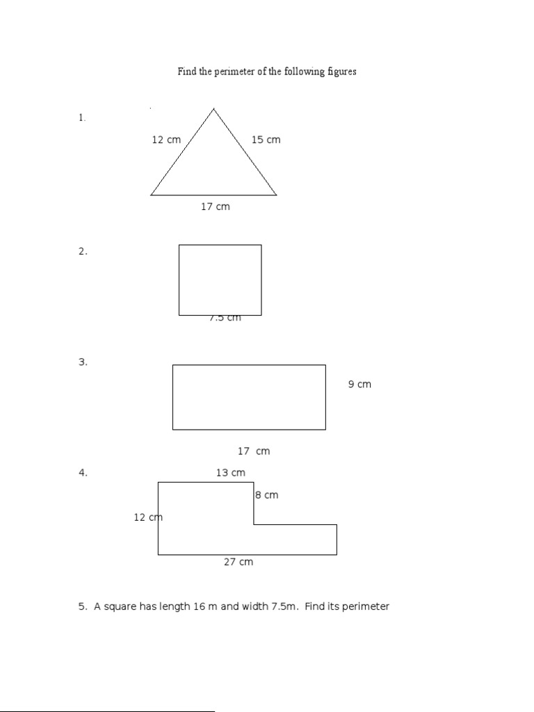 Perimeter | PDF
