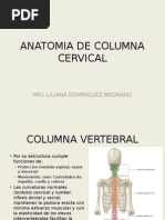 Músculos de La Nuca | PDF | Sistema musculoesquelético | Anatomía humana