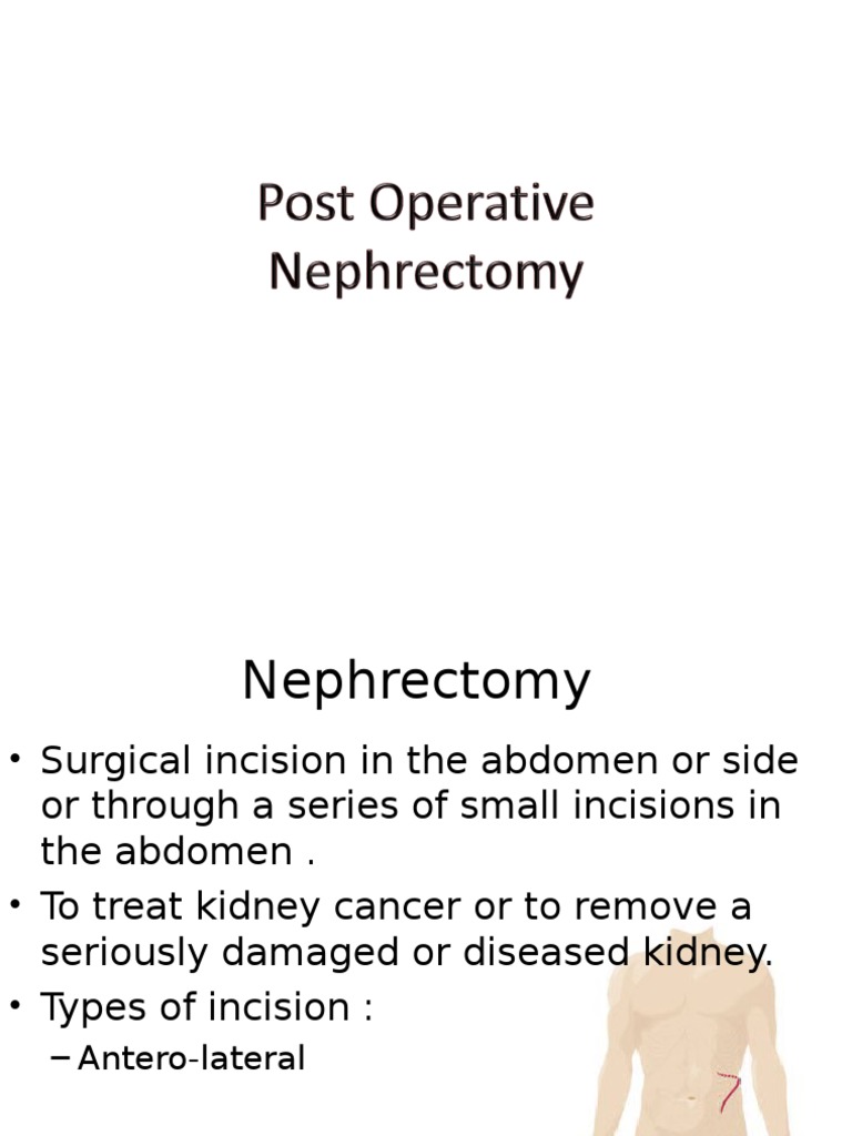 Nephrectomy | PDF | Thorax | Kidney