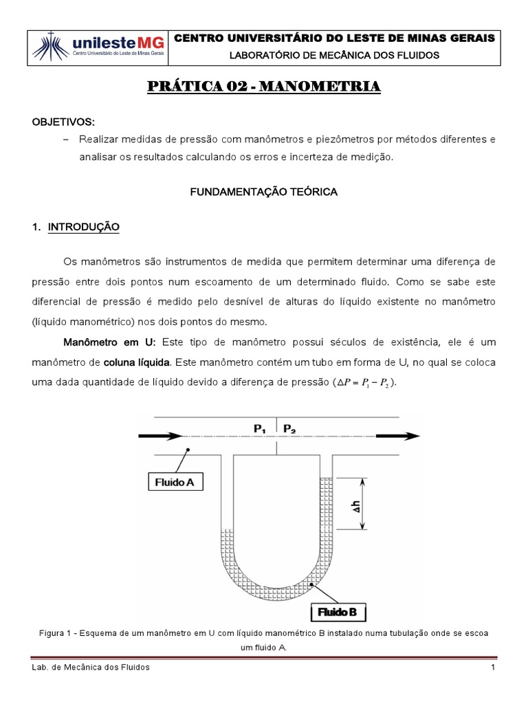 Pratica 02 - Manometria | PDF | Medição de pressão | Materiais ...