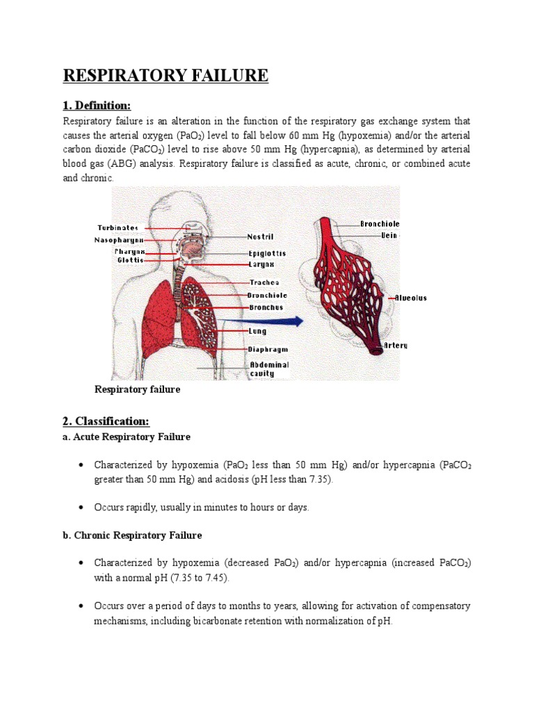 Respiratory Failure | Lung | Hypoxia (Medical)