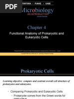 Name: Virtual Microscope by BIONETWORK: Online Edition | PDF | Optical ...