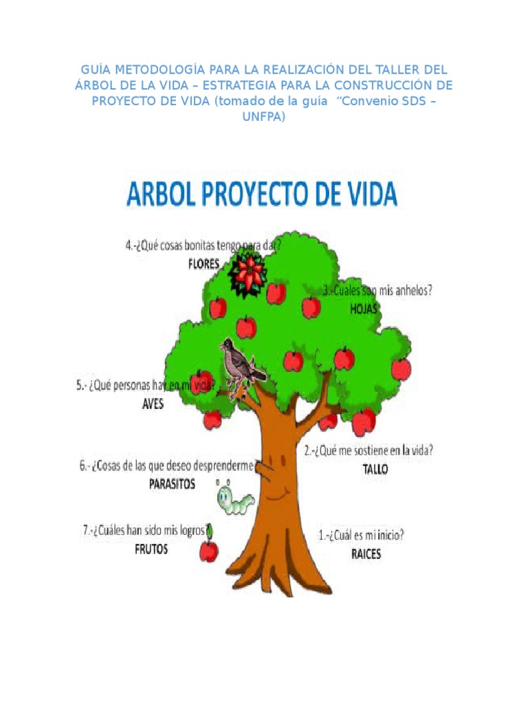 Ciclo De Vida De Un árbol De La Semilla Al árbol Grande Ilustración del ...