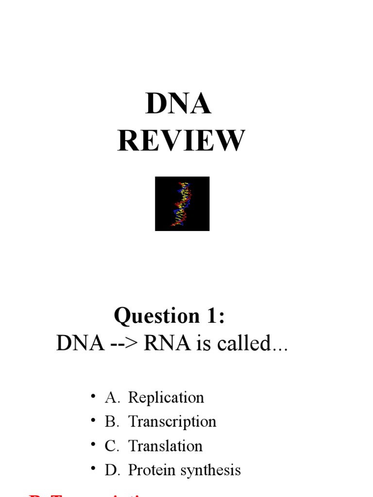 Dna Review | PDF | Translation (Biology) | Dna