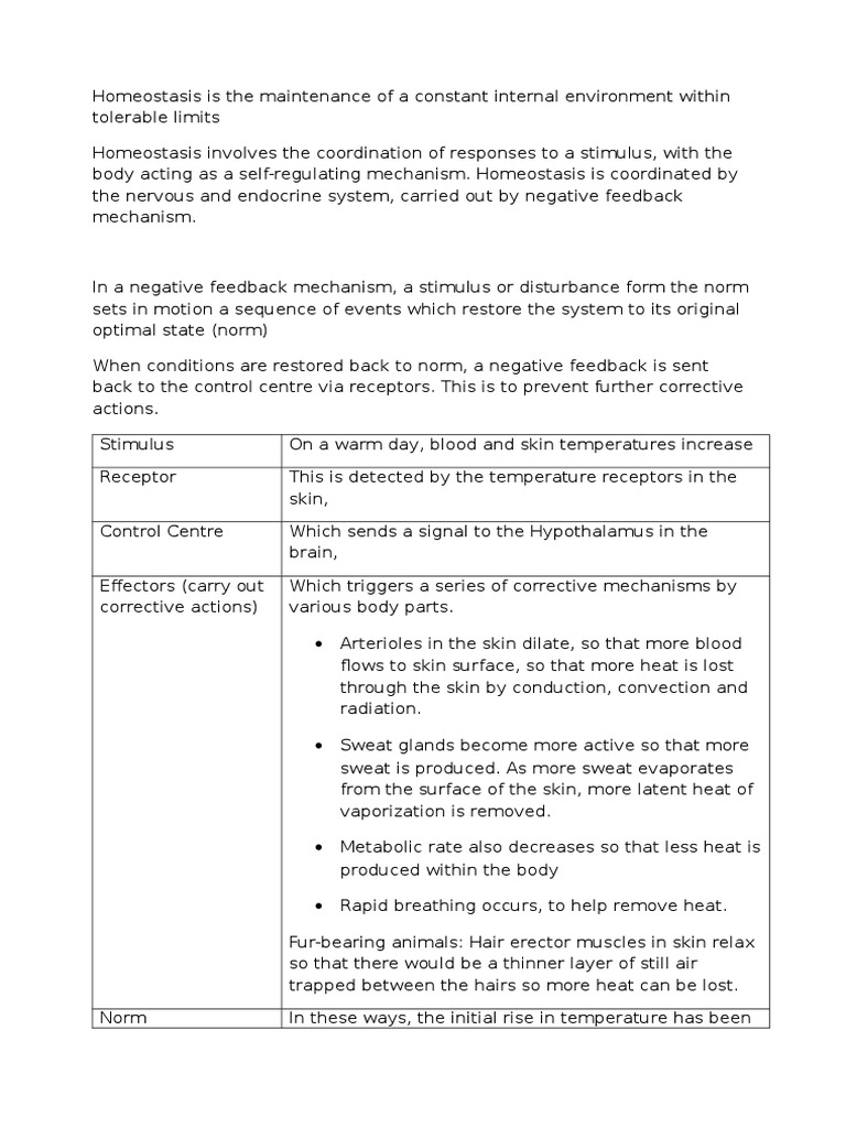 Homeostasis Essay Test Notes | PDF | Homeostasis | Perspiration
