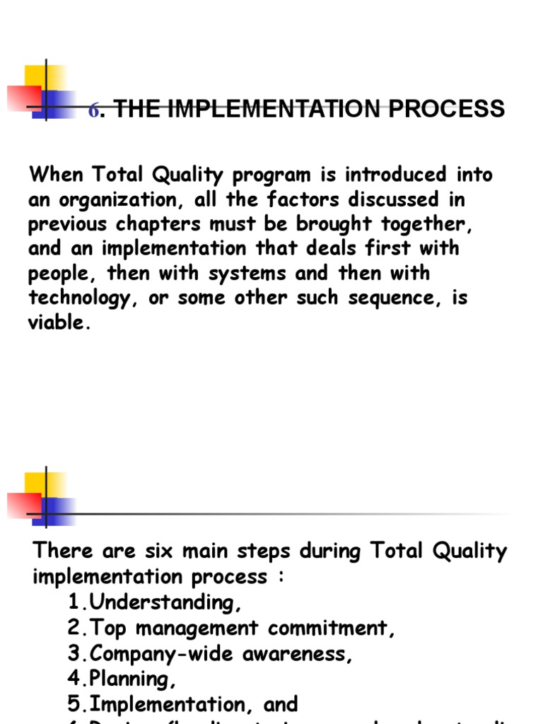 6.the Implmentation Process | PDF | Economies | Business