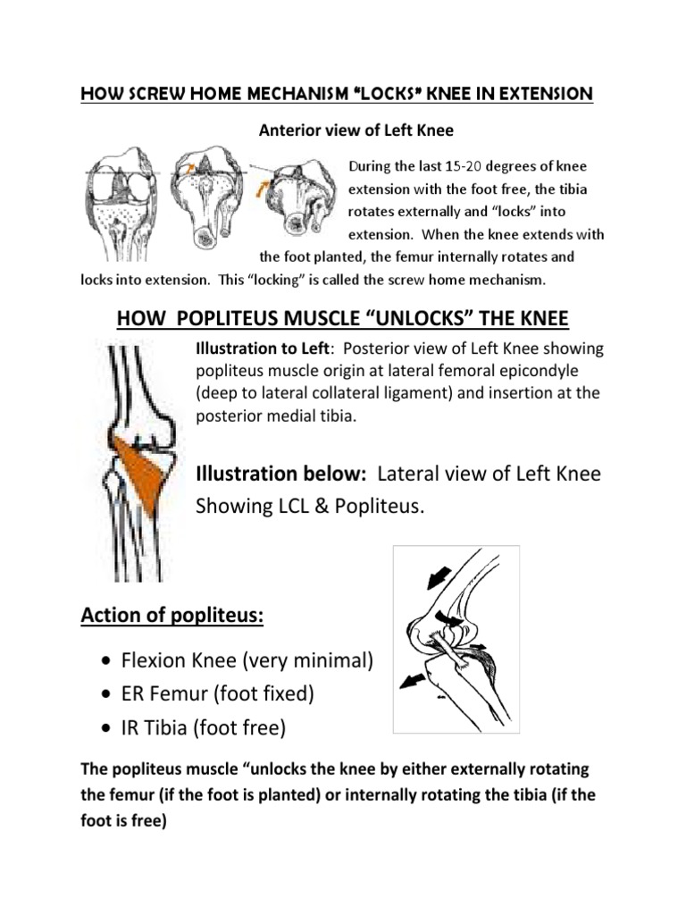 Screw Home Mechanism | PDF