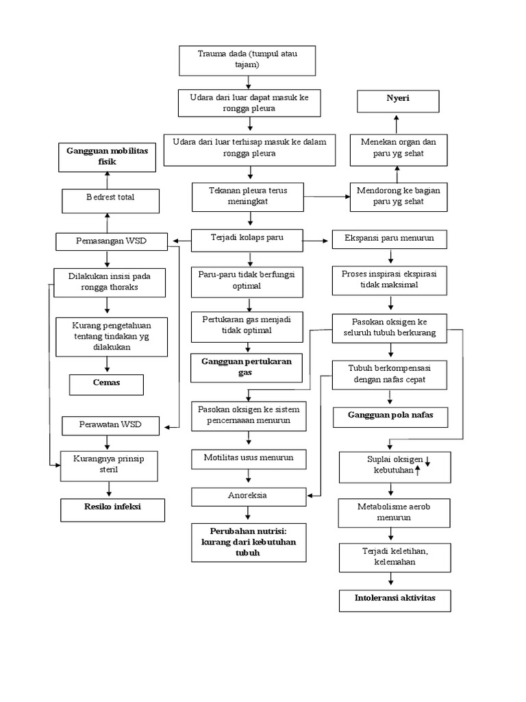 Pathways Pneumothoraks