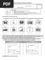 Nomenclatura ALADI - NALADISA (Introducción) | PDF | Taxonomía ...