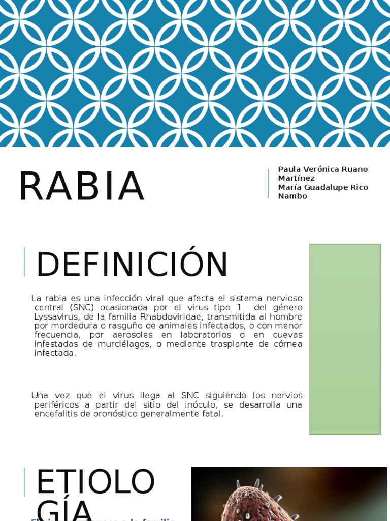 Rabia | PDF | Rabia | Virus