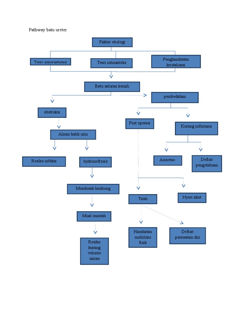 Pathway Batu Ureter