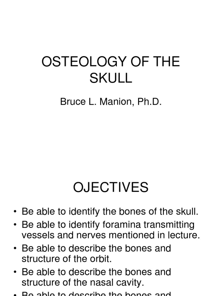 Osteology of the Skull Overview | PDF | Skull | Human Anatomy