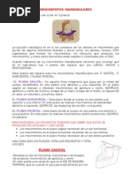 Diagrama de Posselt y Movimientos Mandibulares | PDF | Estudios de ...