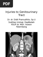 Schuffner Spleen!!! | PDF