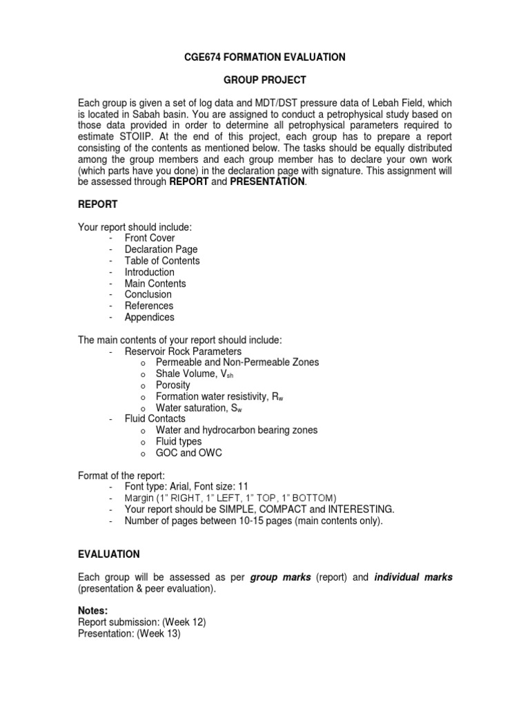 Formation Evaluation - Group Project | PDF | Business