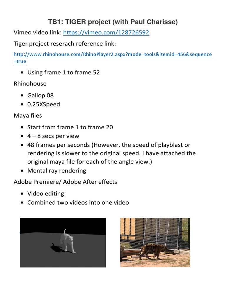 TB1: TIGER Project (With Paul Charisse) : True | PDF